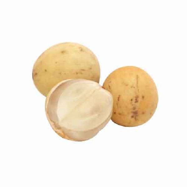 Duku | GL Fruit Trading