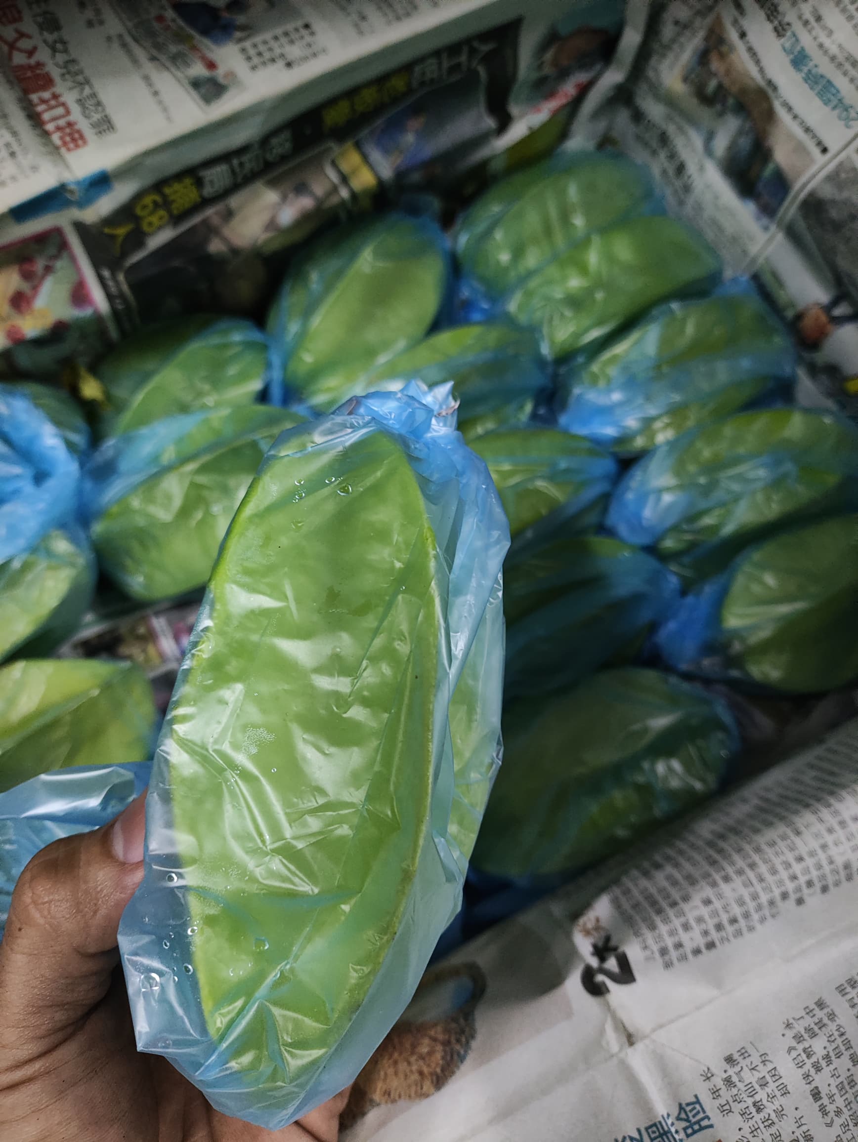 Starfruit | GL Fruits Sdn Bhd
