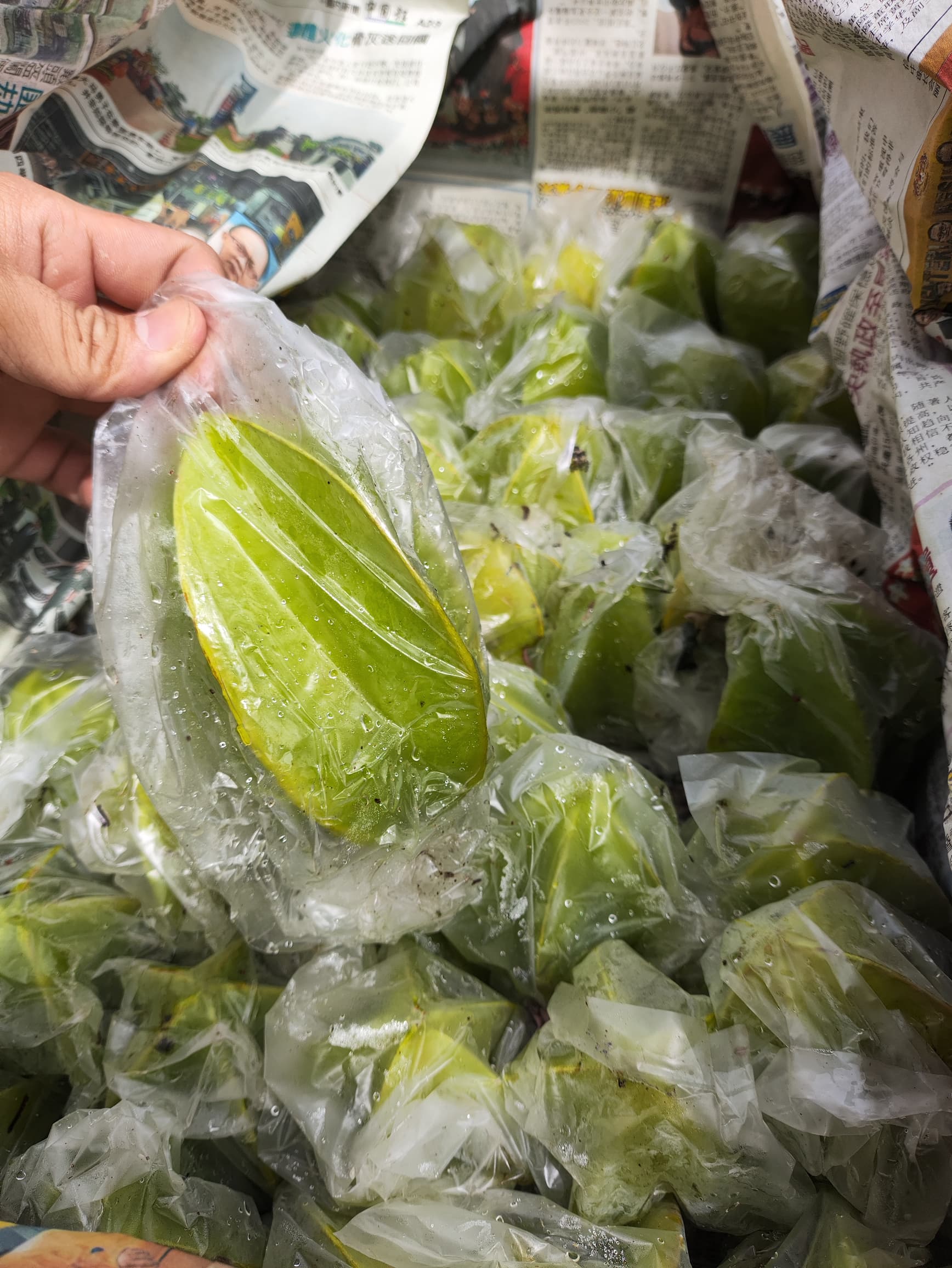 Starfruit | GL Fruits Sdn Bhd