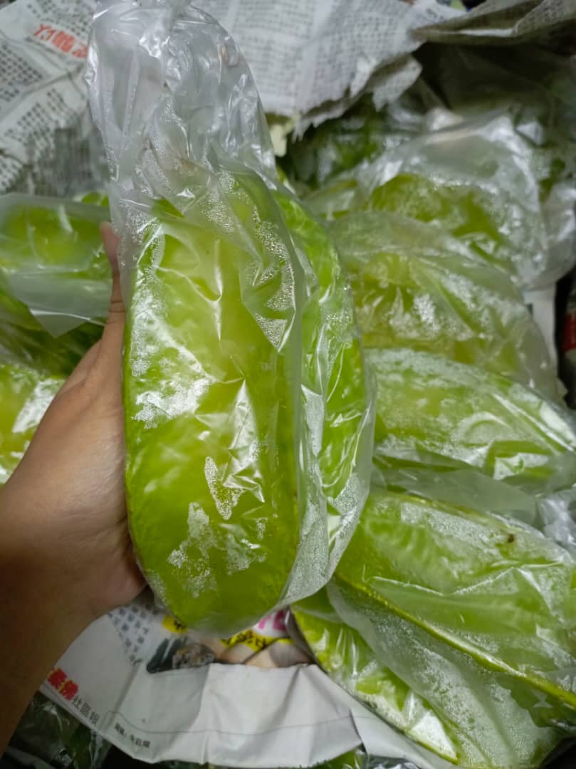 Starfruit | GL Fruits Sdn Bhd