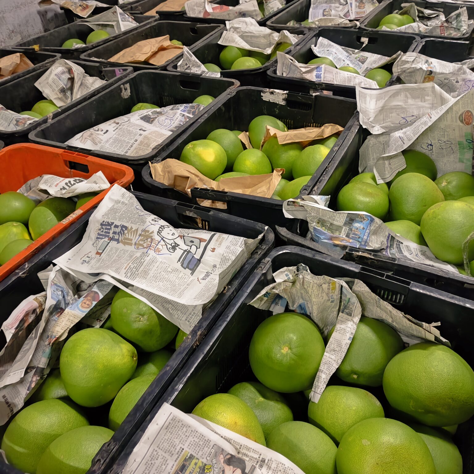 Pomelo | GL Fruits Sdn Bhd